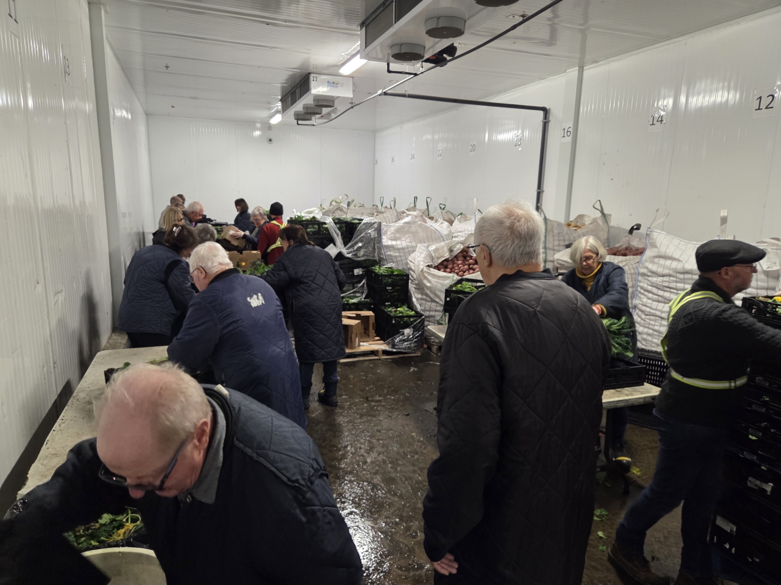 Reportage : Bénévolat Moisson Montréal – Montréal/Montérégie – Décembre ...